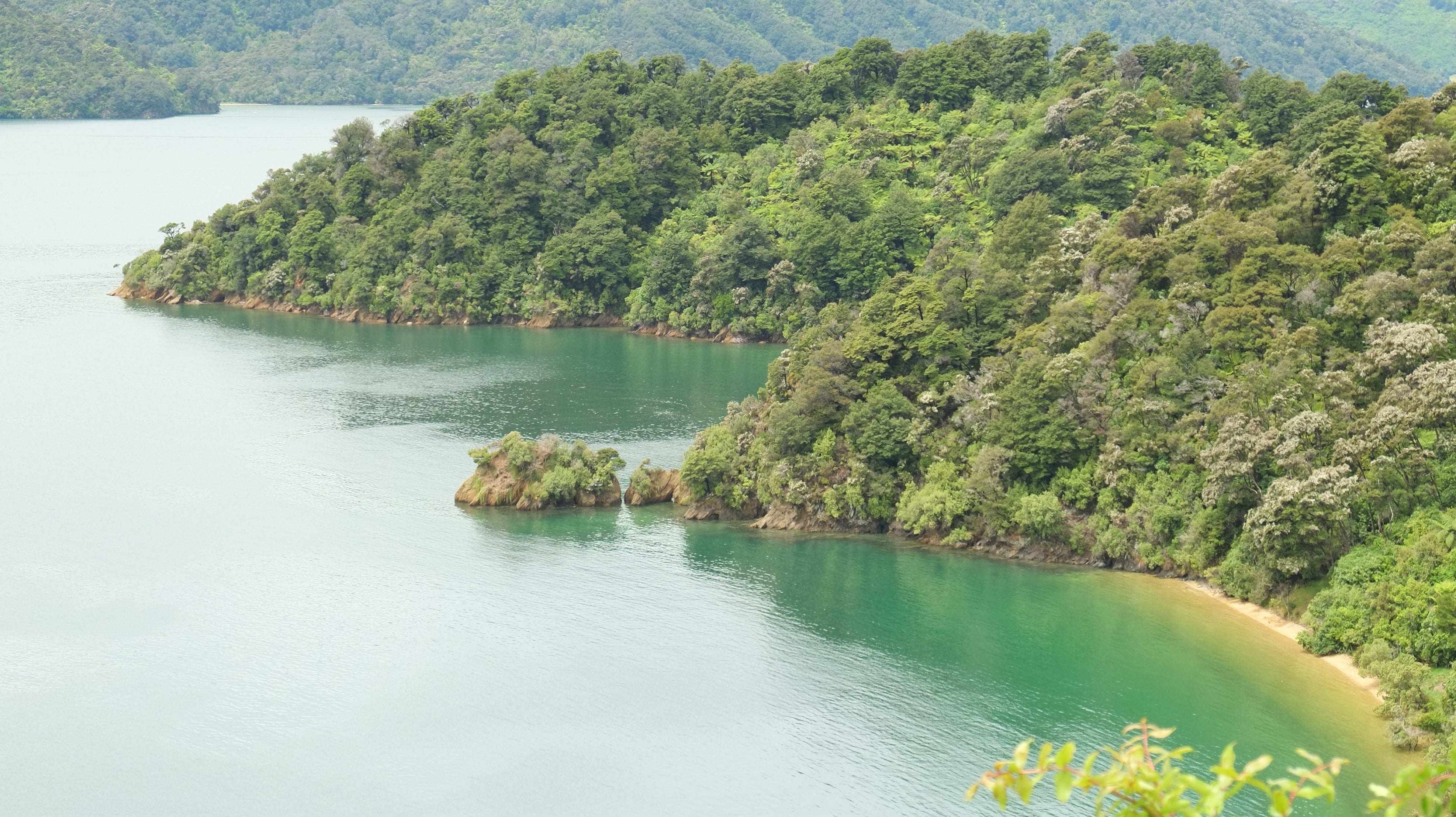 Issue No. 132 - August 2021 – Hollin